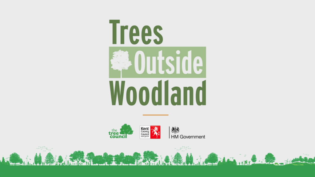 The Tree Council - Miyawaki Planting Project | Indigo Productions